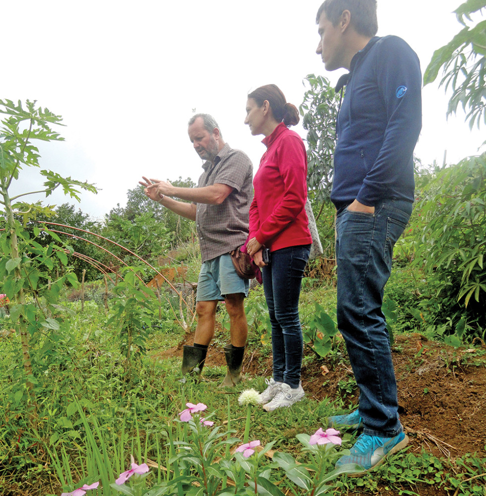 LaFerm Coco, une belle illustration de l’agroécologie