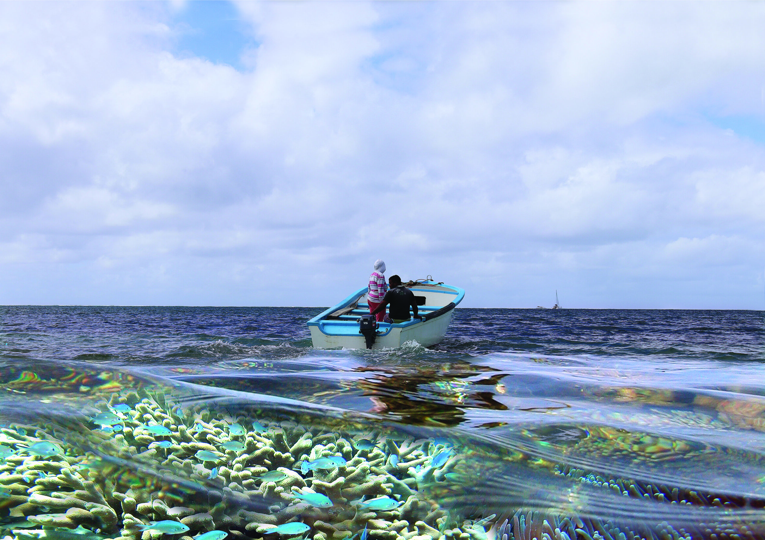 Ecology, while we wait for the indicators to turn green…